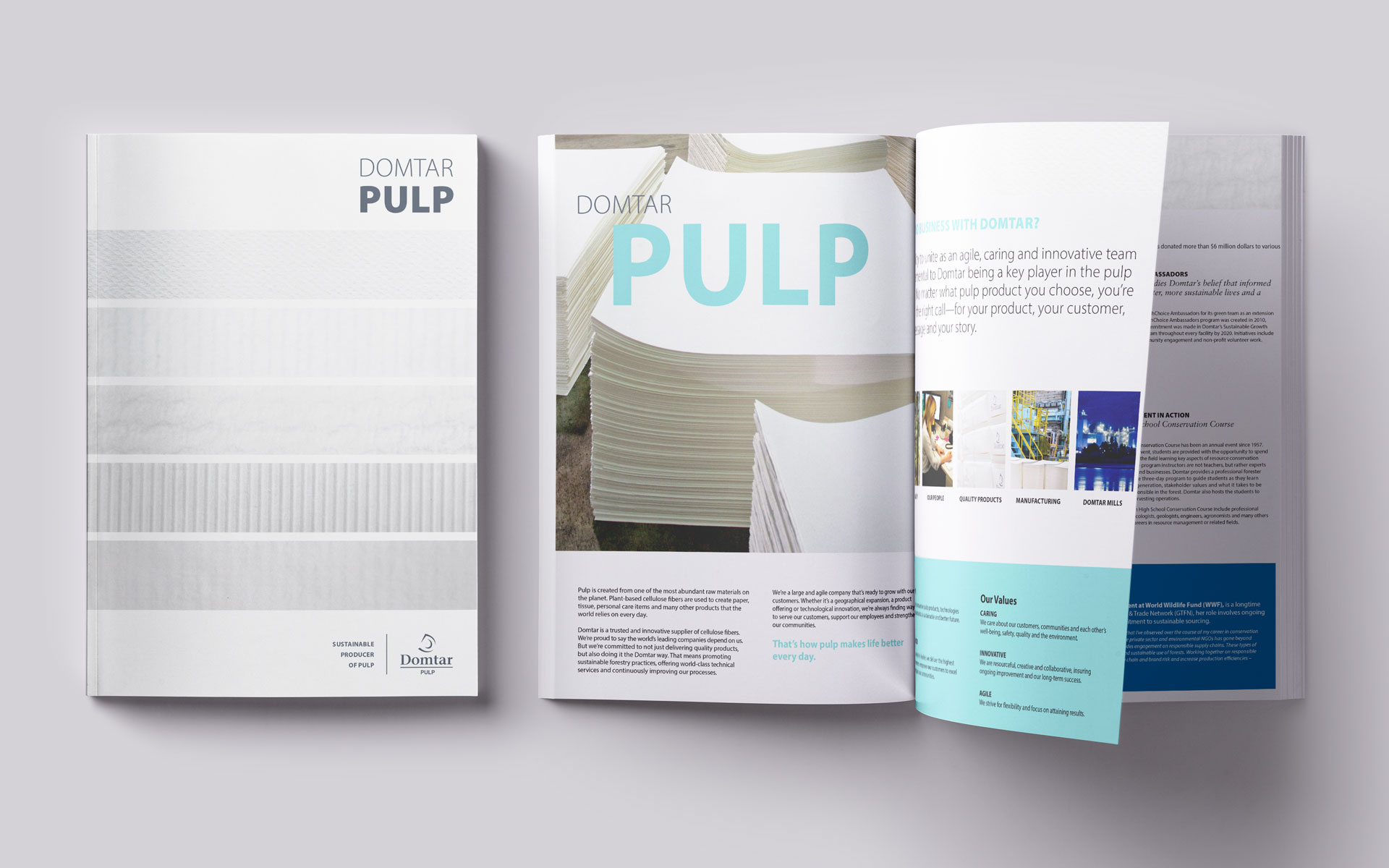 Domtar | Mindful & Good