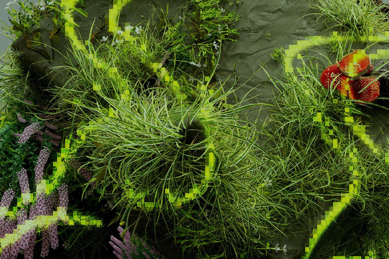 Celebrating Progress: Our 2024 Impact Report | Mindful & Good